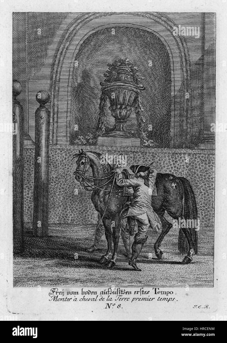 Ridinger Vorstellung 8 Aufsitzen Stock Photo - Alamy