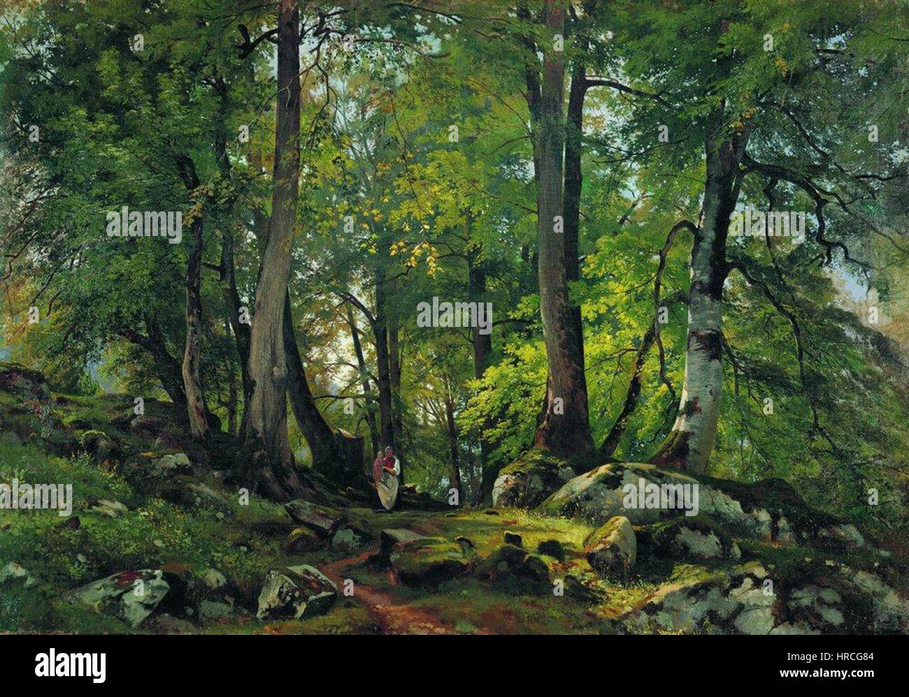 Shishkin Swiss fagus forest 1 Stock Photo - Alamy