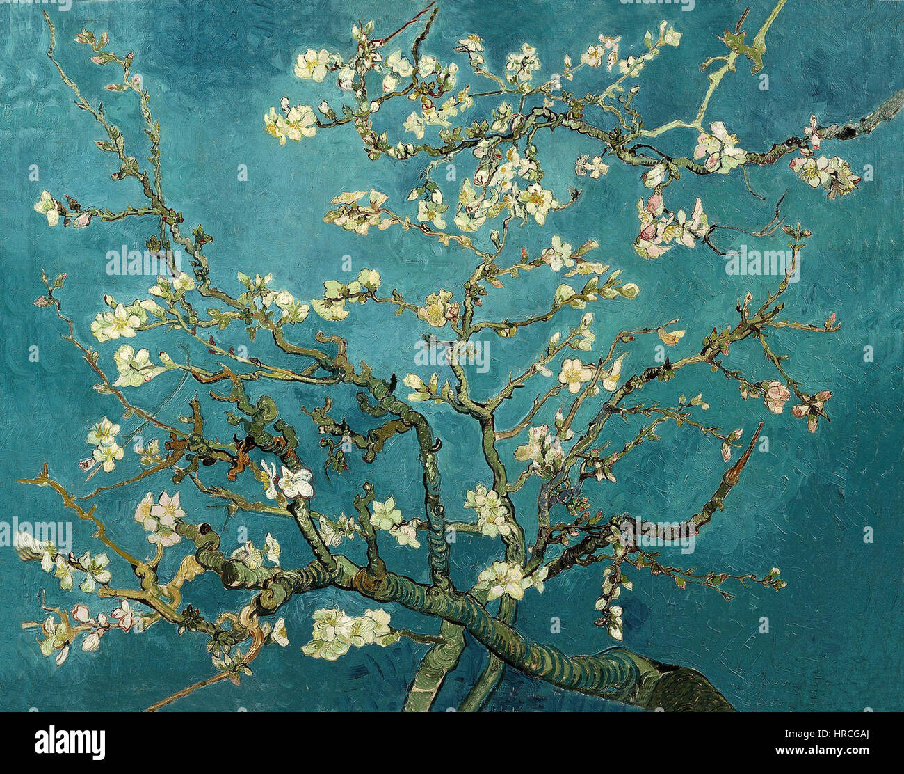 Almond tree painting hi-res stock photography and images - Alamy