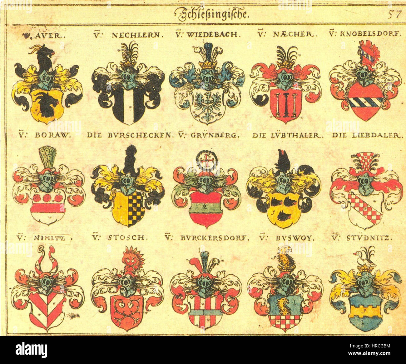 ‘Siebmacher057’ is a heraldic illustration from Siebmacher’s ‘General ...