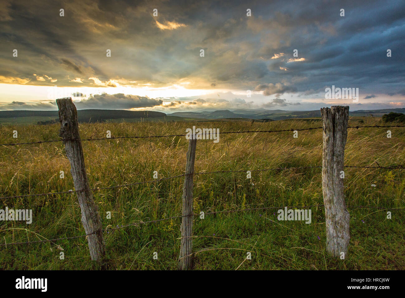 Rustic fence with weathered wooden poles and strands of barb wire in ...