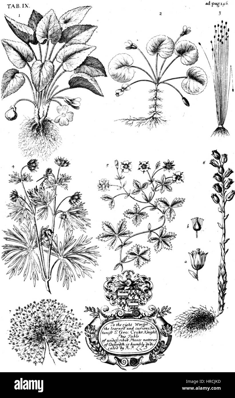 Robert Plot's 'Natural History of Oxfordshire' is a pioneering work ...