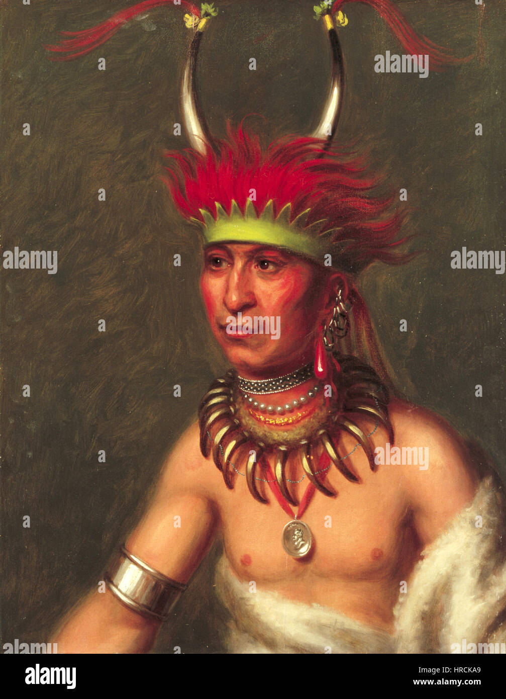 Shaumonekusse - Prairie Wolf - by Charles Bird King, c1822 Stock Photo ...