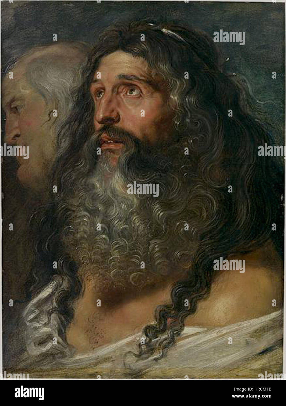 Peter paul rubens study of a head hi-res stock photography and images ...