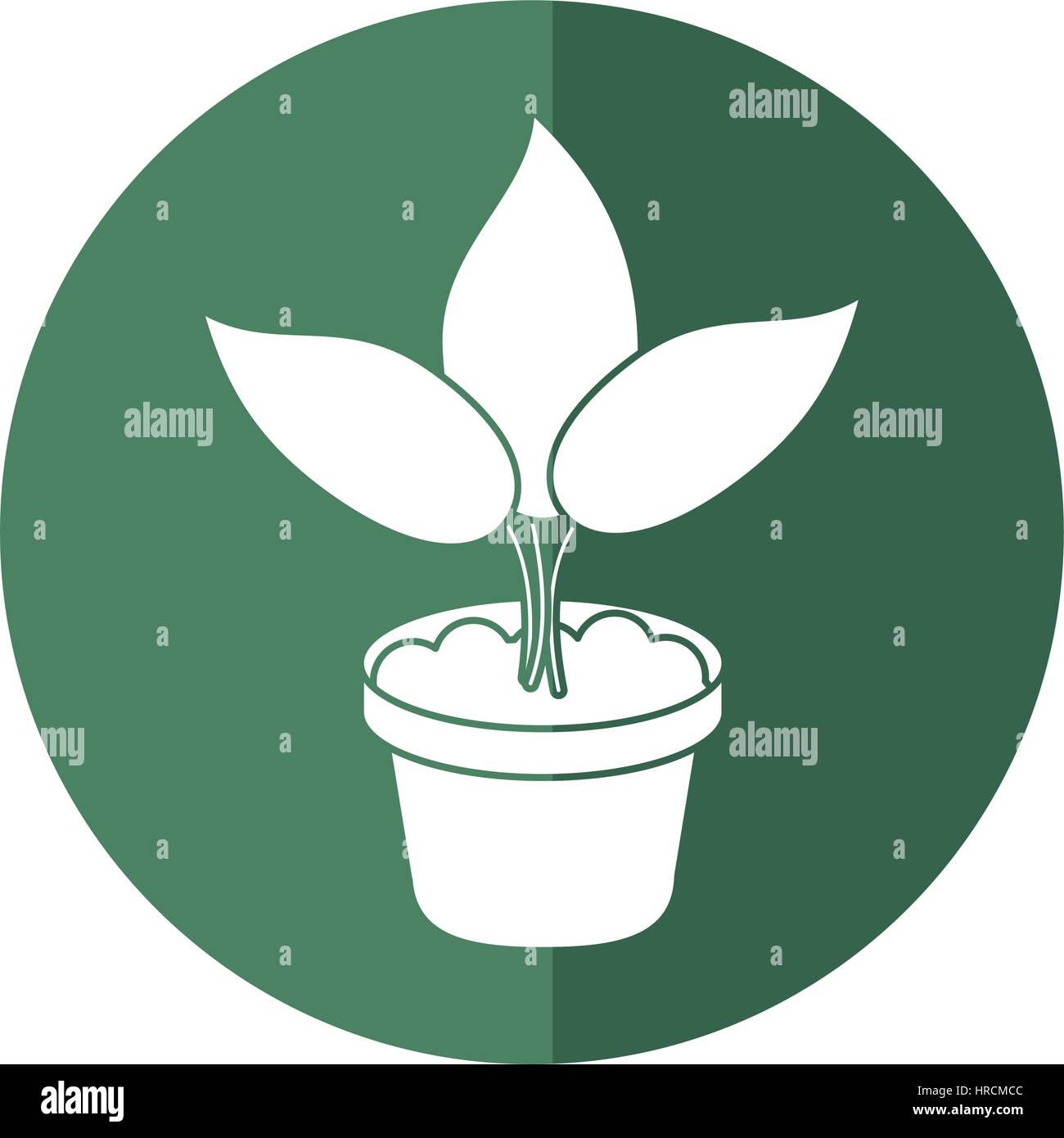 pot plant garden concept shadow Stock Vector Image & Art - Alamy