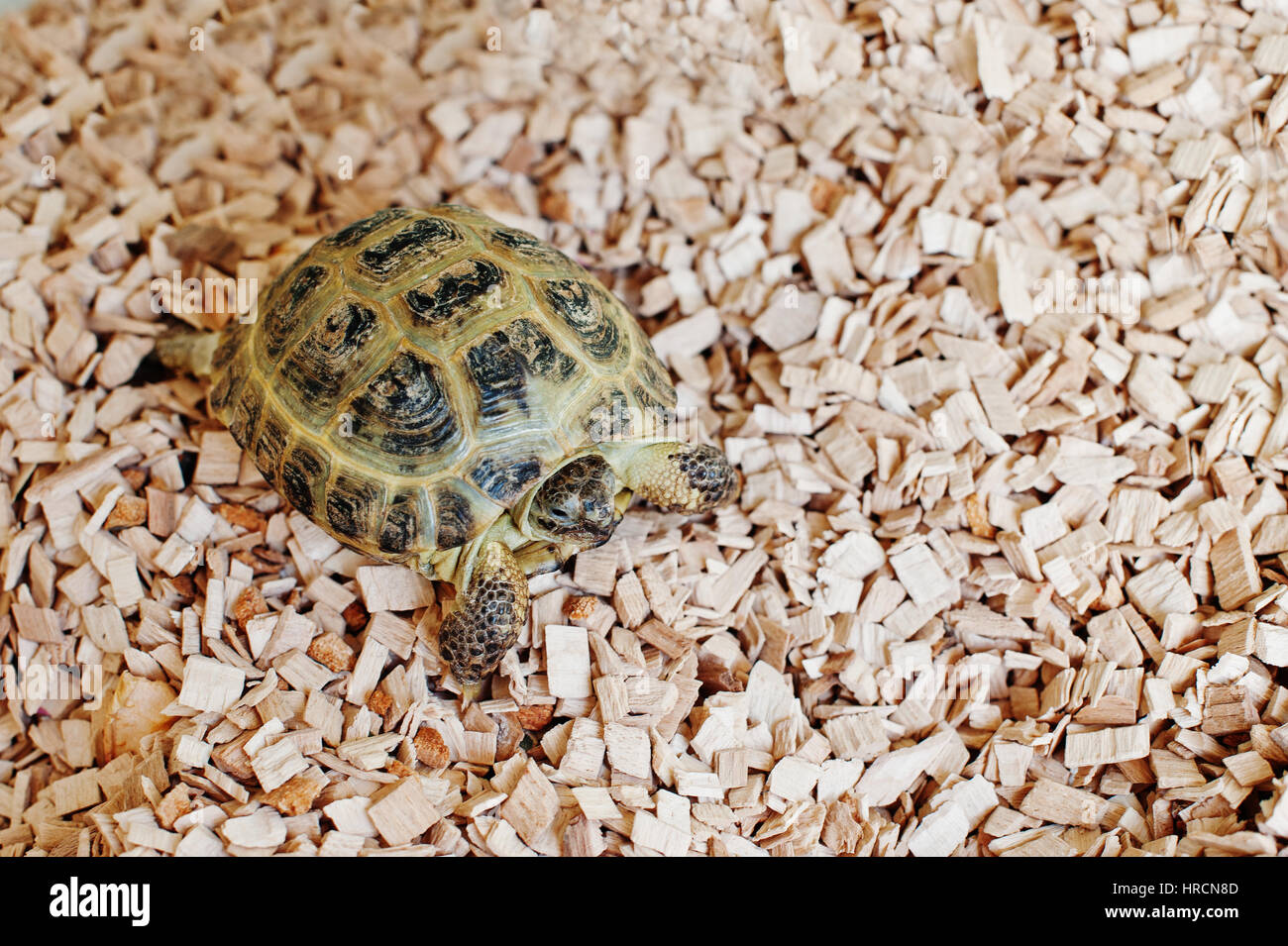 Overland life hi-res stock photography and images - Alamy