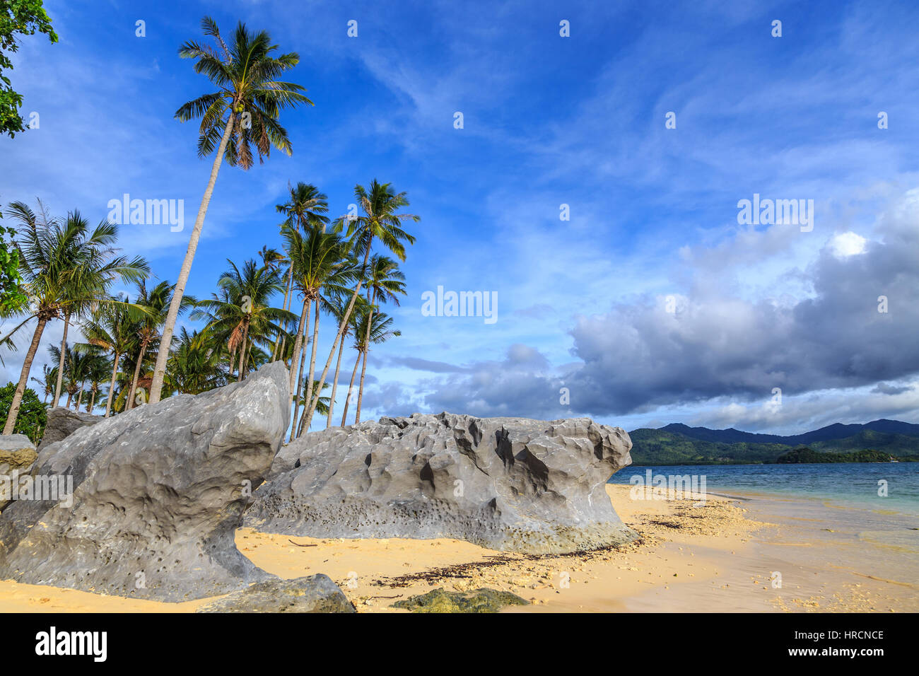 Tropical coastline with rocks and palm trees, Palawan, Philippines ...