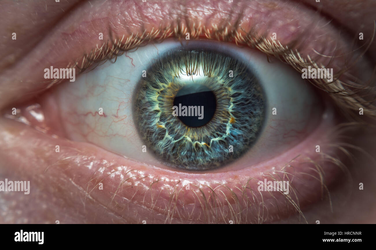 Human eye close up iris hi-res stock photography and images - Alamy