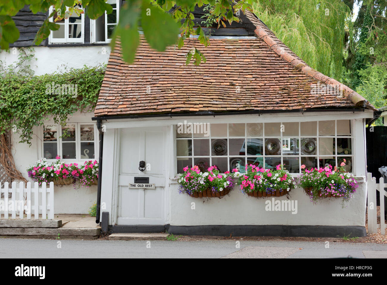 Cottage called 'The Old Rest' Sash window of Cottage in Letchmore Heath ...
