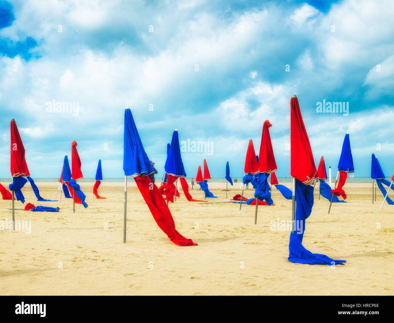 Colorful red and blue beach umbrellas on a sandy tropical seashore ...