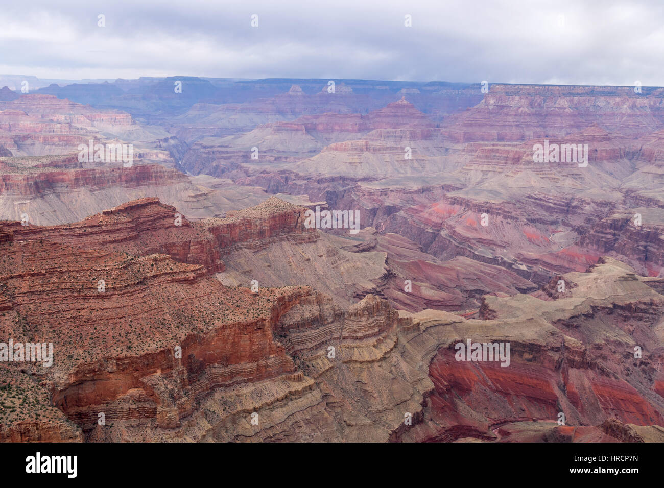 Impressive view over Grand Canyon, National Park, Colorado, USA Stock ...