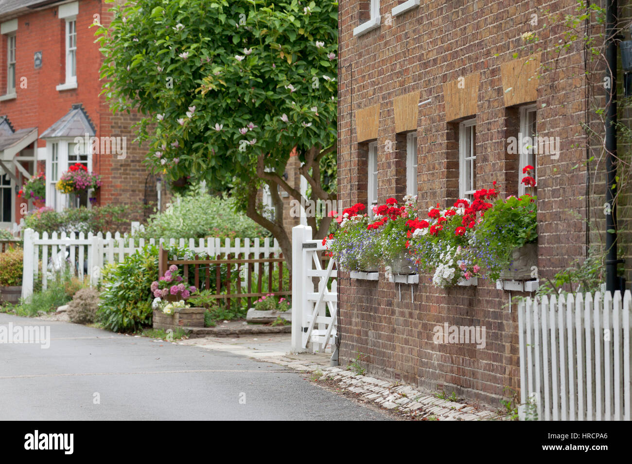 Street view of houses at the Village Green in Letchmore Heath ...