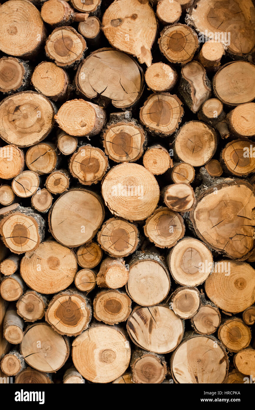 Abstract photo of nature oak Stock Photo - Alamy