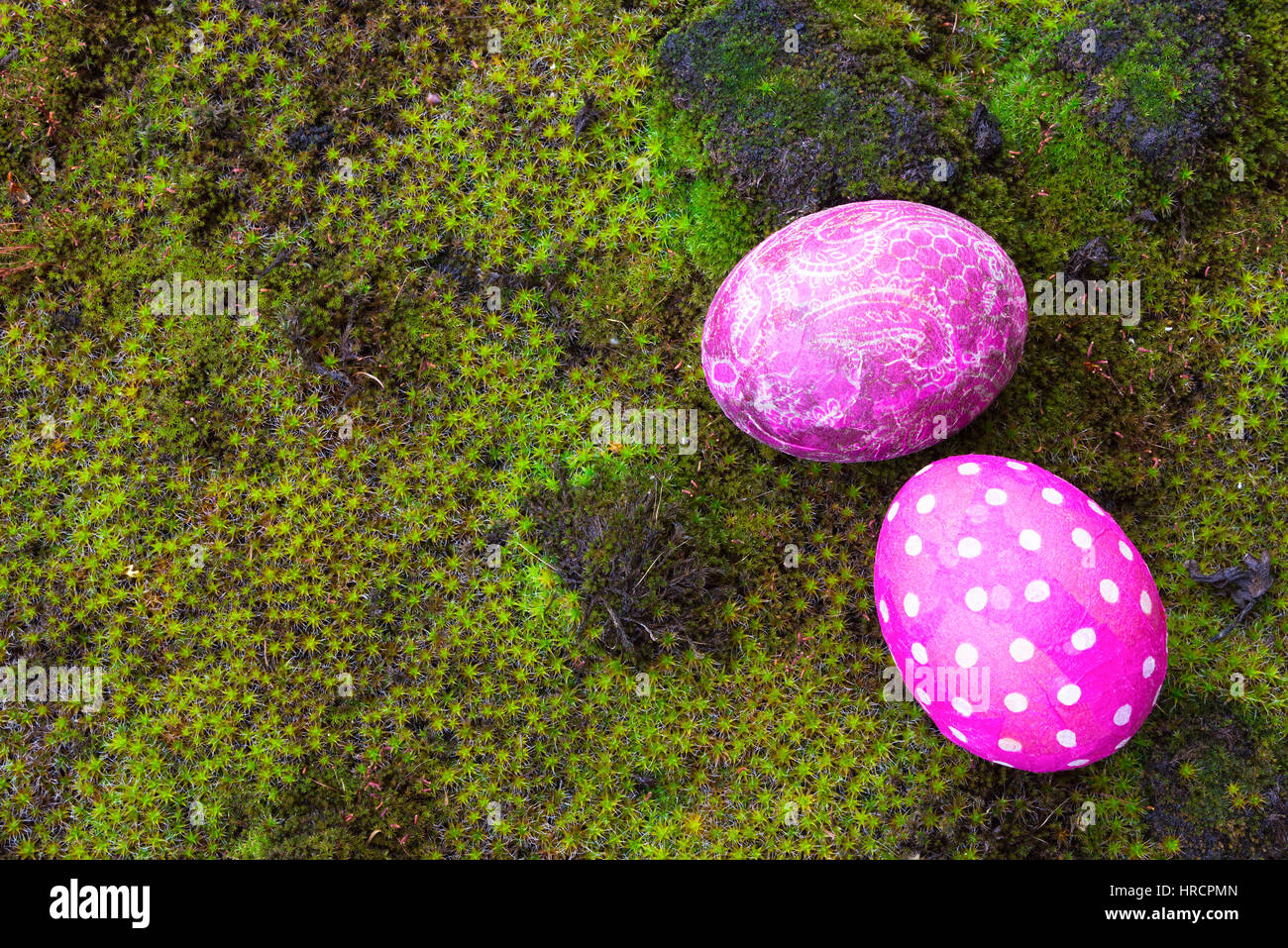 Directly above shot of Easter eggs on moss Stock Photo - Alamy