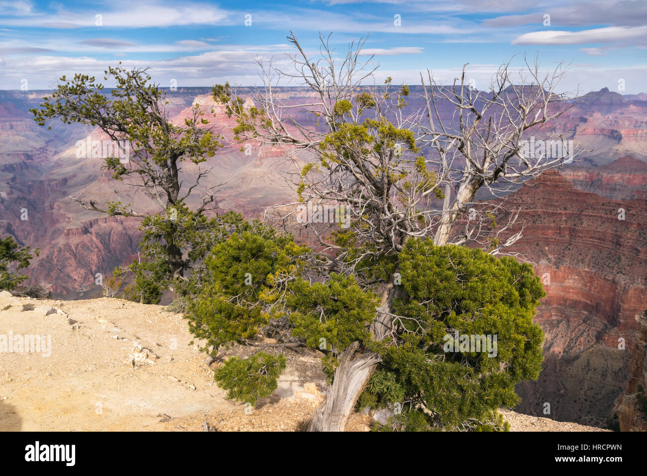 Impressive view over Grand Canyon, National Park, Colorado, USA Stock ...