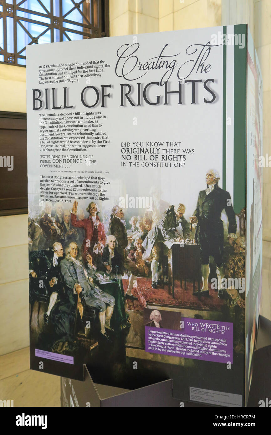 Individual Rights Constitution