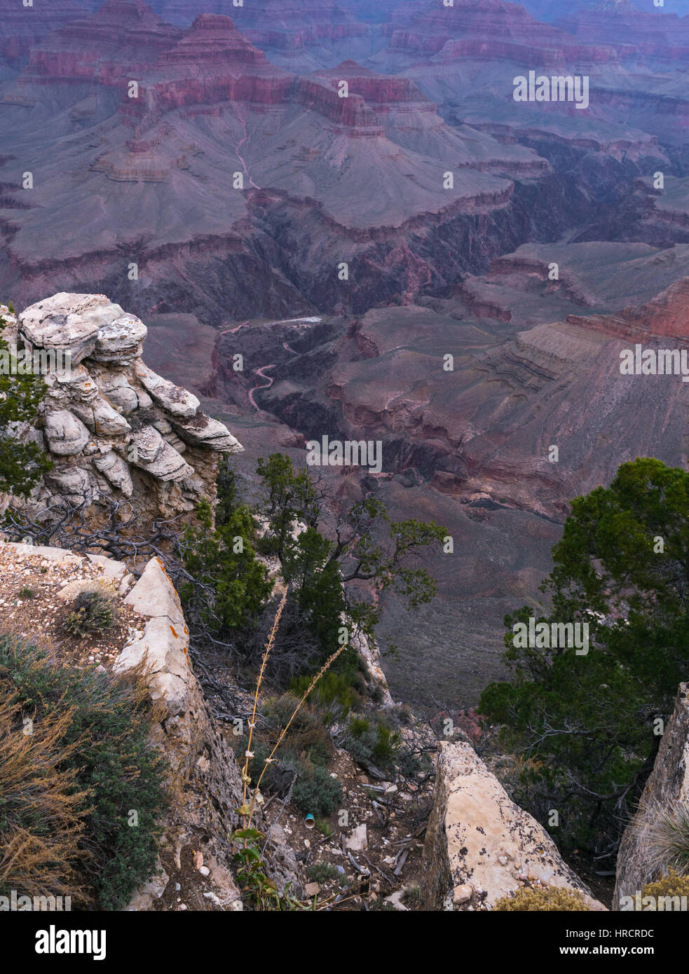 Impressive view over Grand Canyon, National Park, Colorado, USA Stock ...