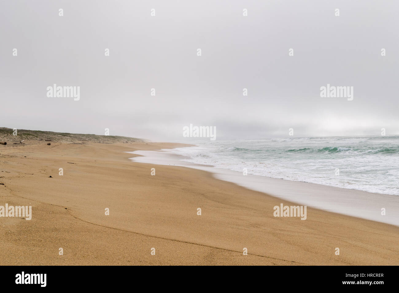 Misty day on Sandy beach near Monterey Bay, Central Pacific coast of ...