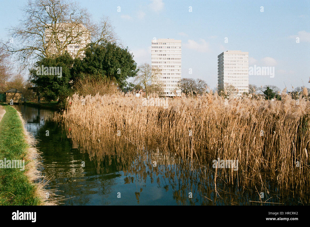 Woodberry Wetlands Nature Reserve, near Stoke Newington, North London ...