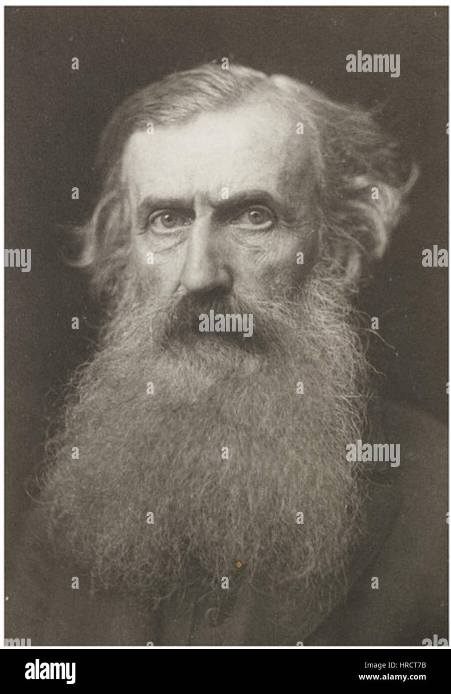 John O Leary 1900 Hollyer Stock Photo - Alamy