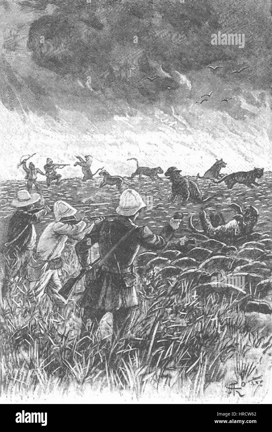 'The Mighty Orinoco' by George Roux 21 Stock Photo - Alamy