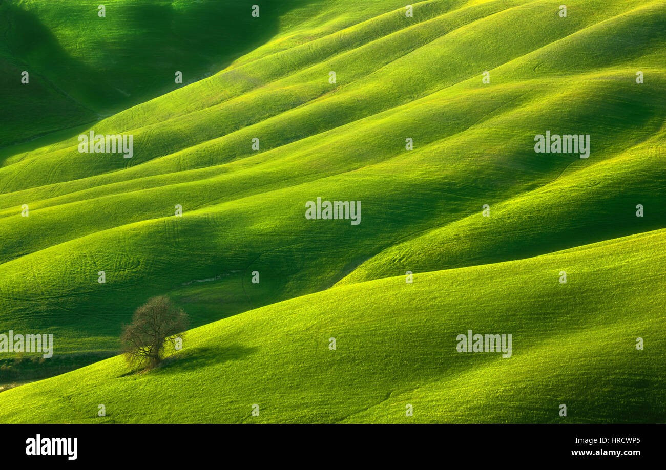 Spring siena hi-res stock photography and images - Alamy