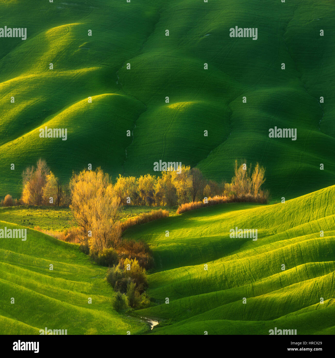 Spring fields hi-res stock photography and images - Alamy