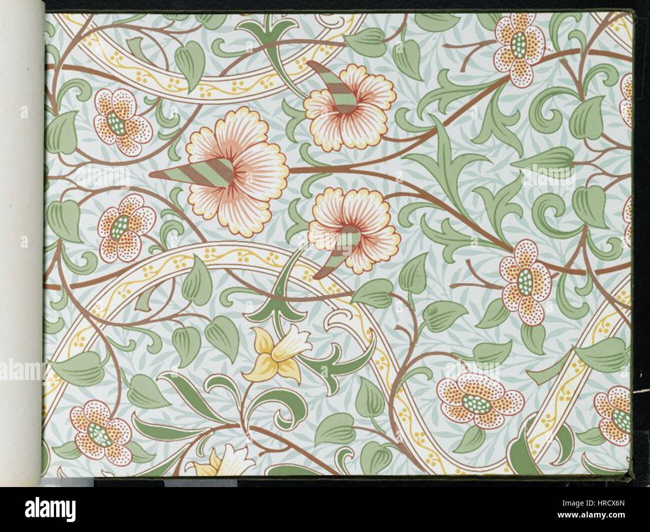 Naturalistic patterns hi-res stock photography and images - Alamy