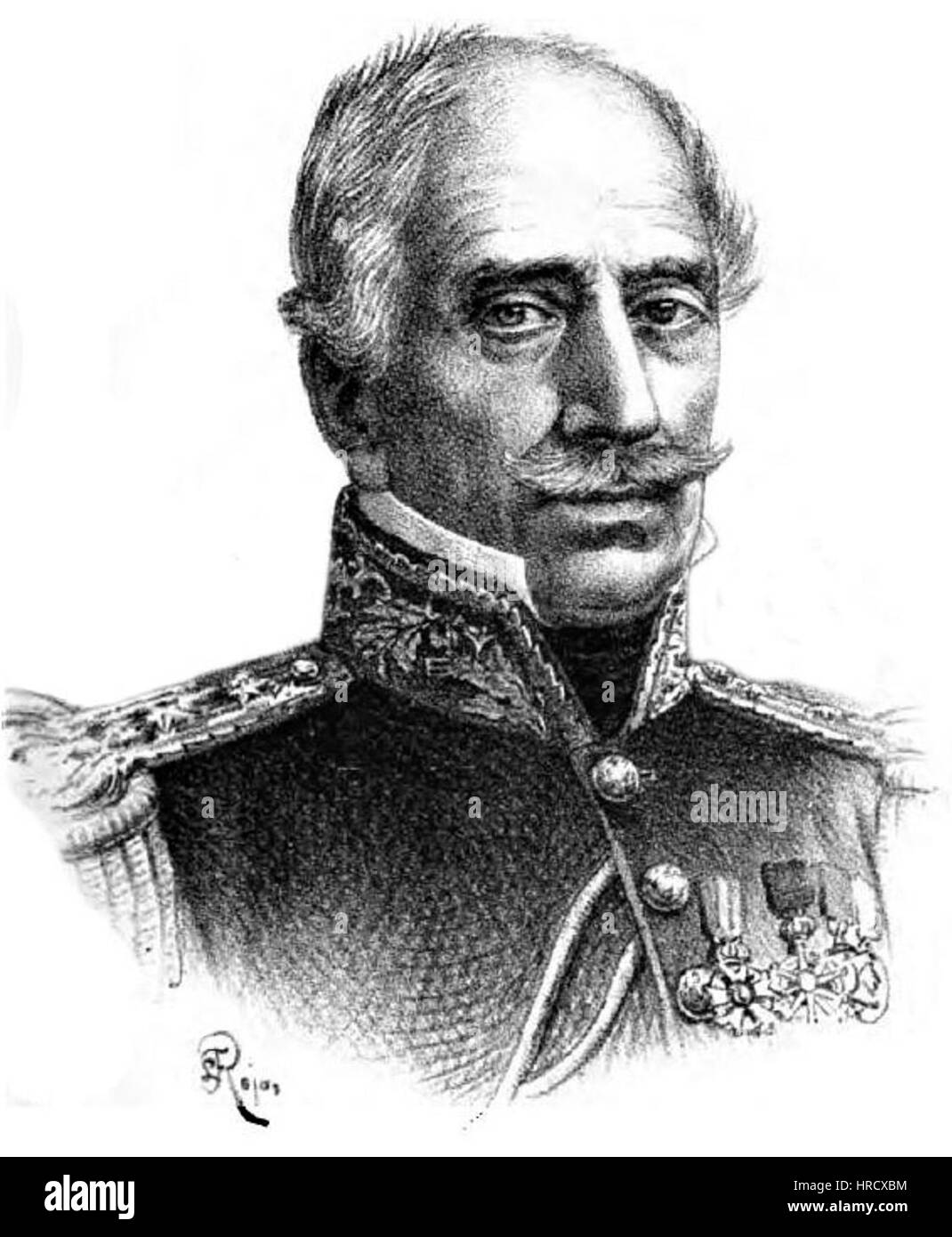 Viel Cut Out Stock Images & Pictures - Alamy