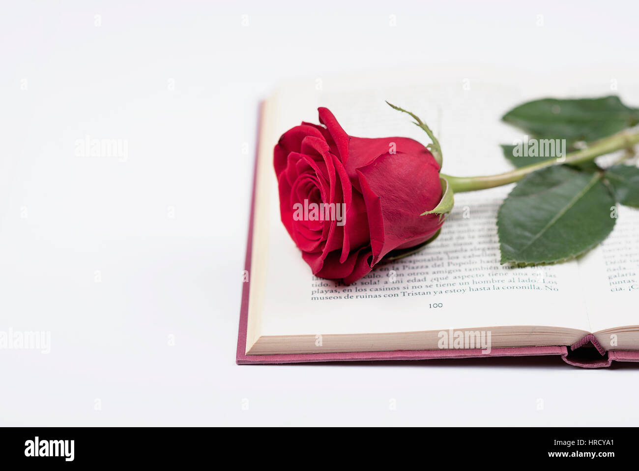 Rose with a book Stock Photo - Alamy