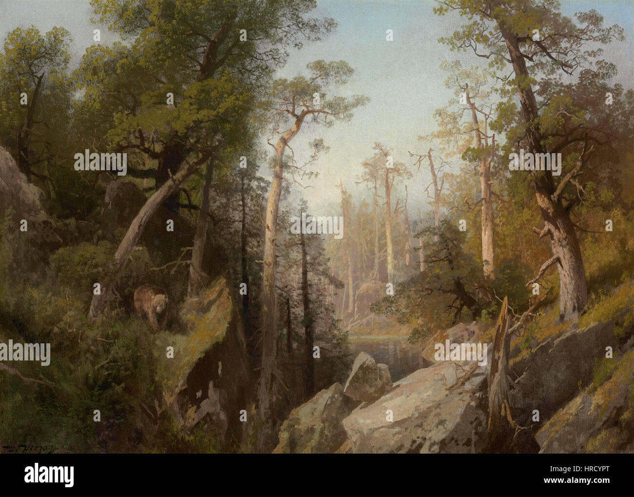 Telemarken norway hi-res stock photography and images - Alamy