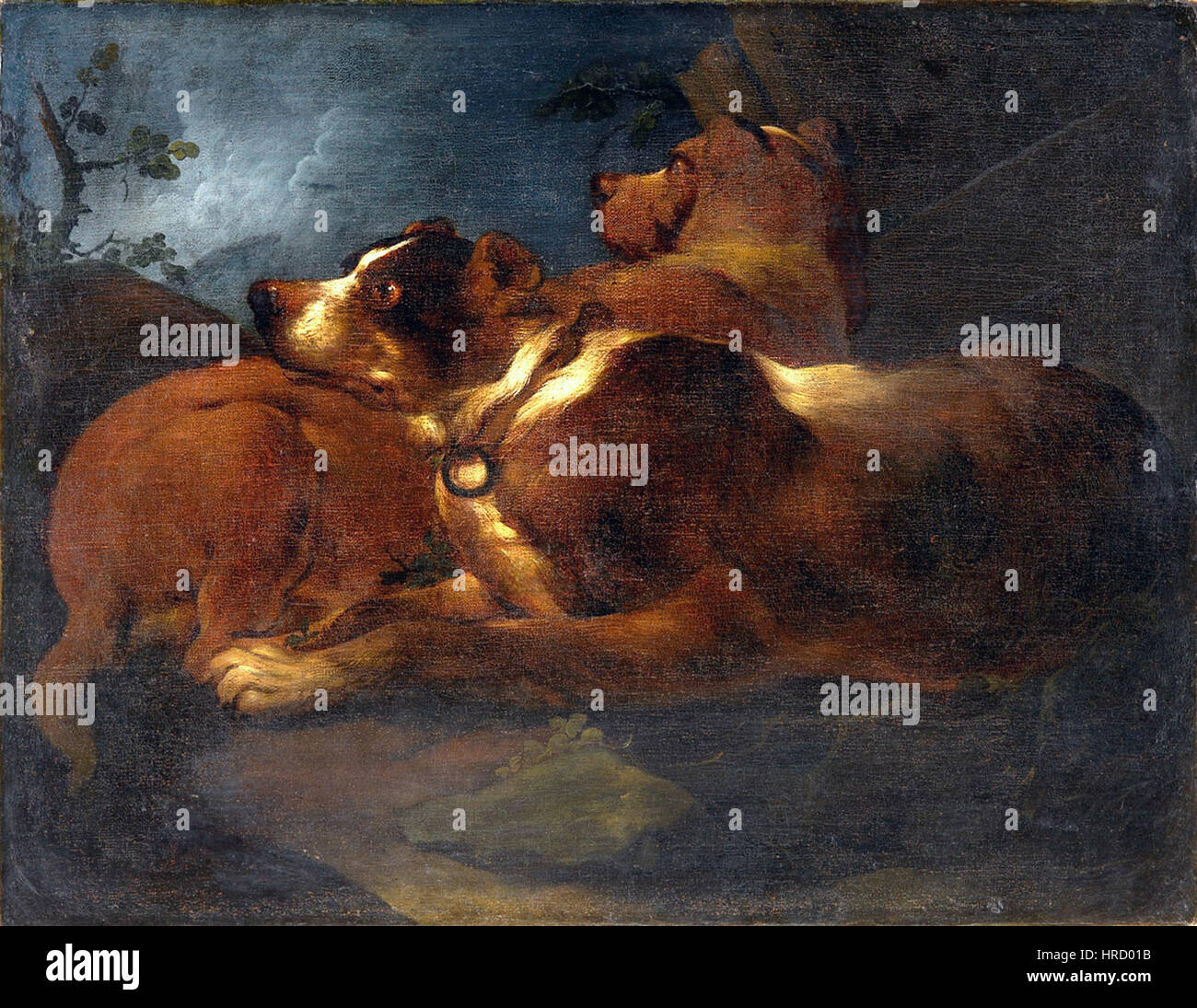 Jagdhunde hi-res stock photography and images - Alamy