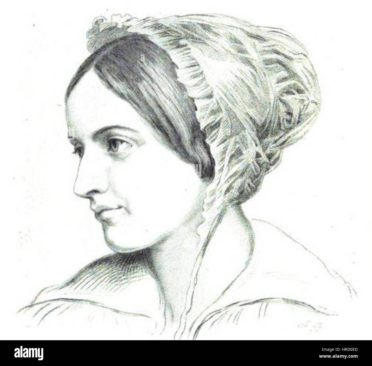 Fox Caroline Sketch Stock Photo - Alamy