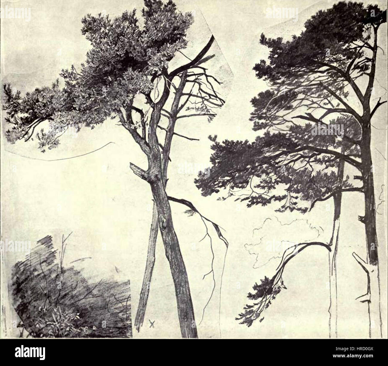 Hubert von Herkomer 1863 - Firs 'drawn from nature at the age of ...