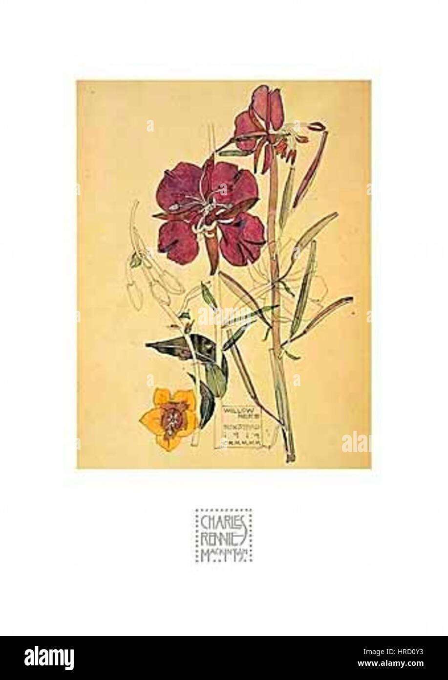 Pattern lines flowers Cut Out Stock Images & Pictures - Alamy