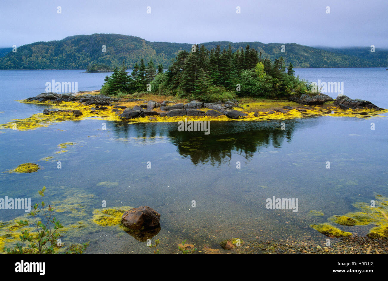 Island at Swift Current, Burin Peninsula Stock Photo - Alamy