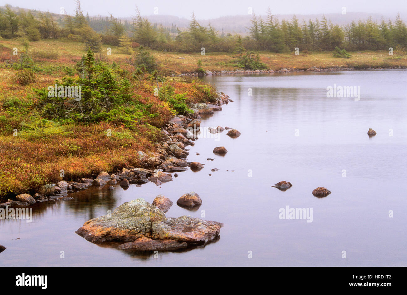 Burin peninsula hi-res stock photography and images - Alamy