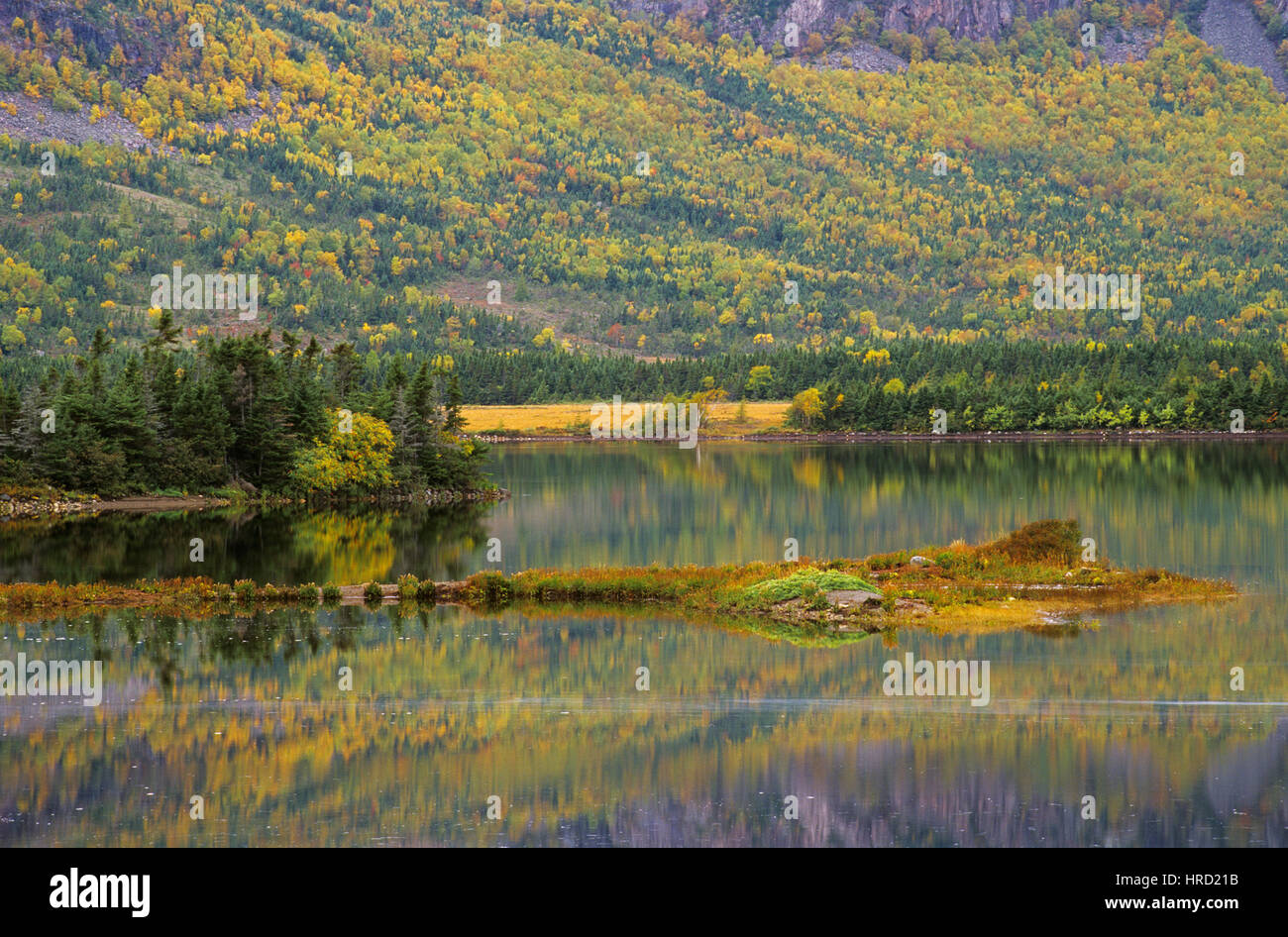 Swift current newfoundland hi-res stock photography and images - Alamy