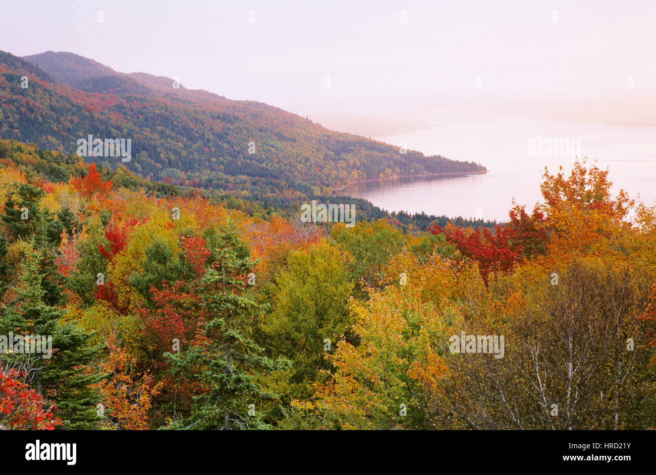 Fall colors at cape breton hi-res stock photography and images - Alamy