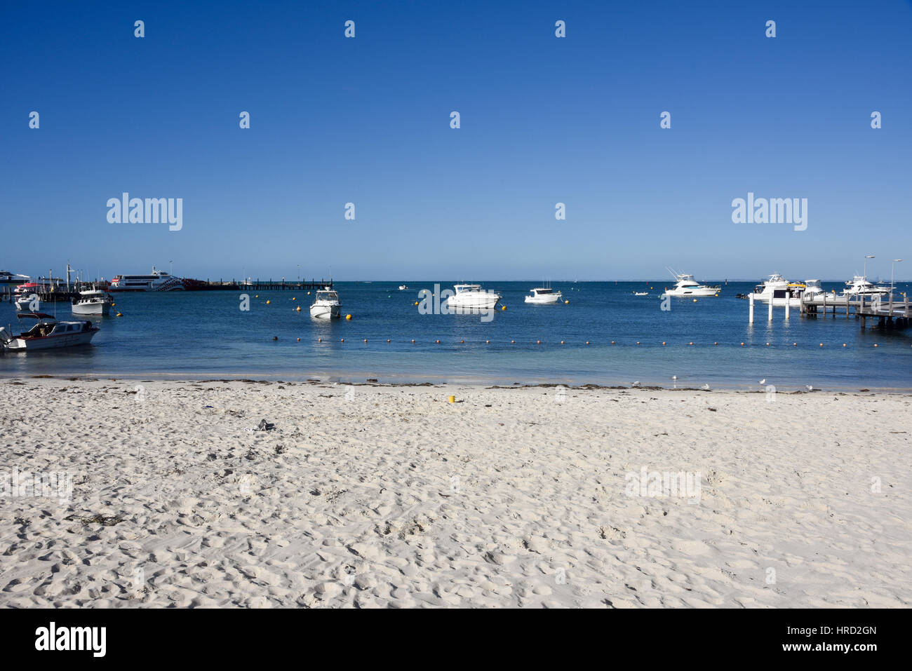 Thompson bay rottnest hi-res stock photography and images - Alamy