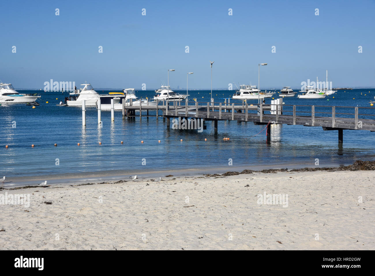 Thompson bay rottnest hi-res stock photography and images - Alamy