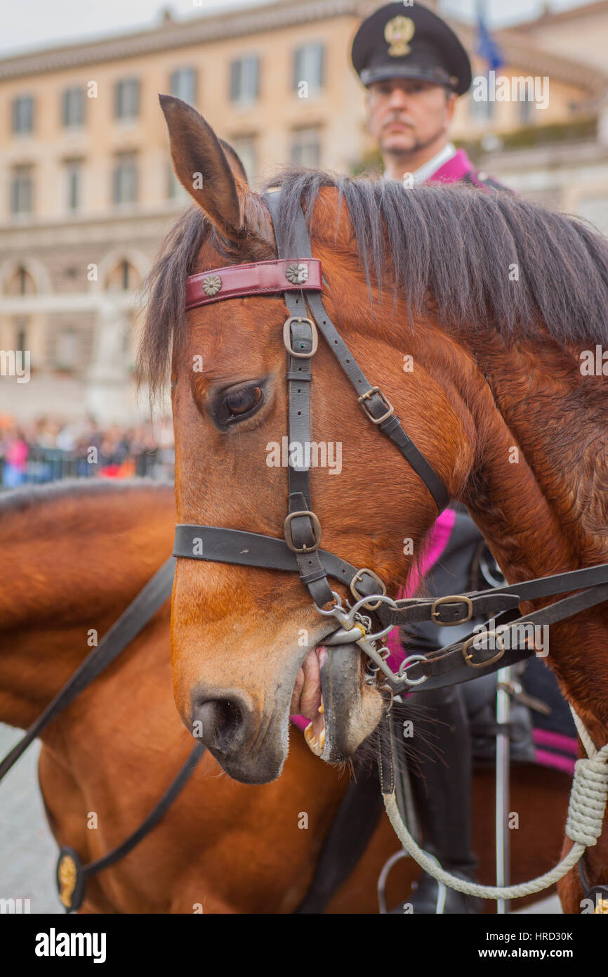 images of the Roman Carnival, held in Piazza del Popolo in Rome, with ...