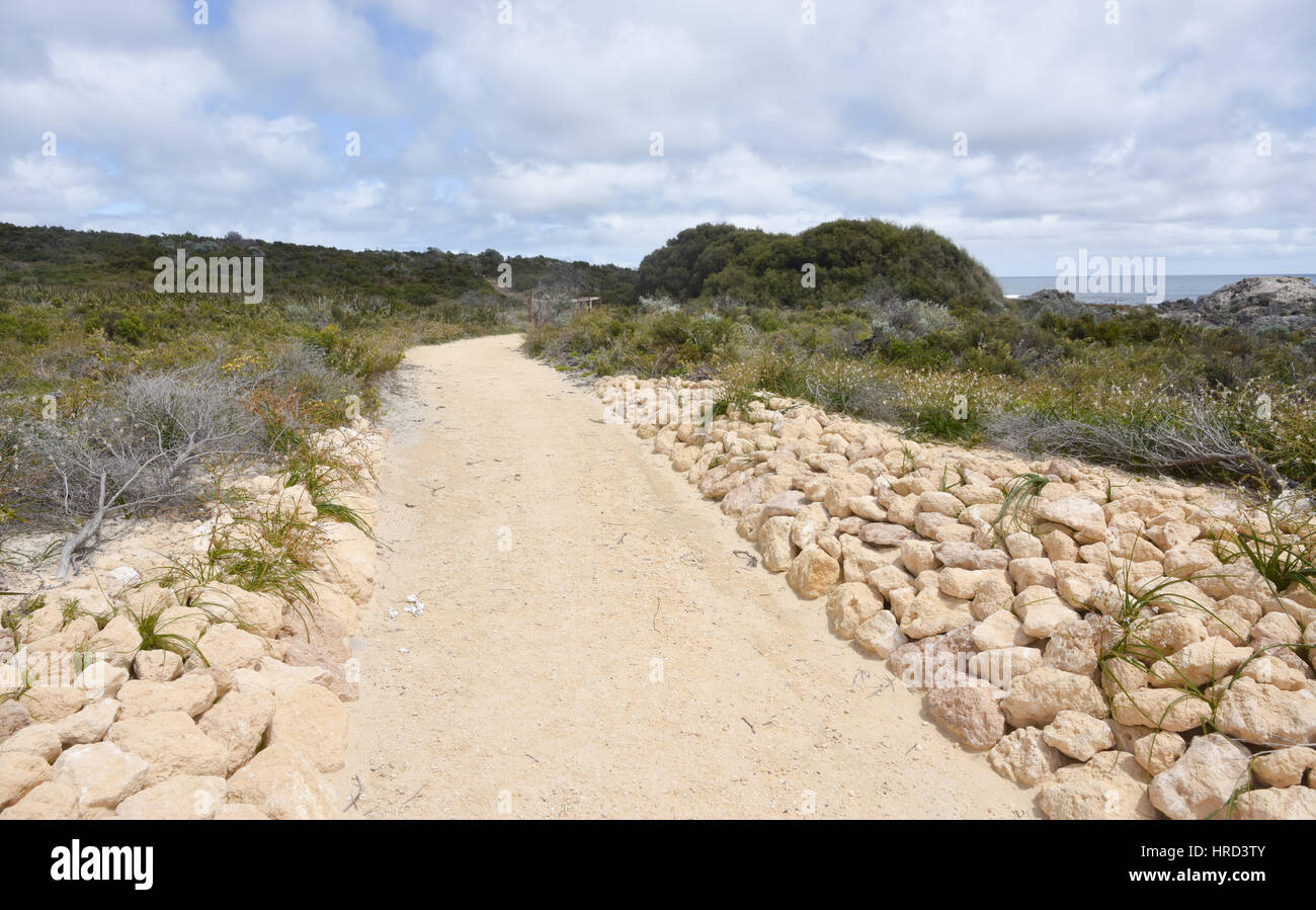 Rock lined sandy trail through the lush coastal dunes at Rottnest ...