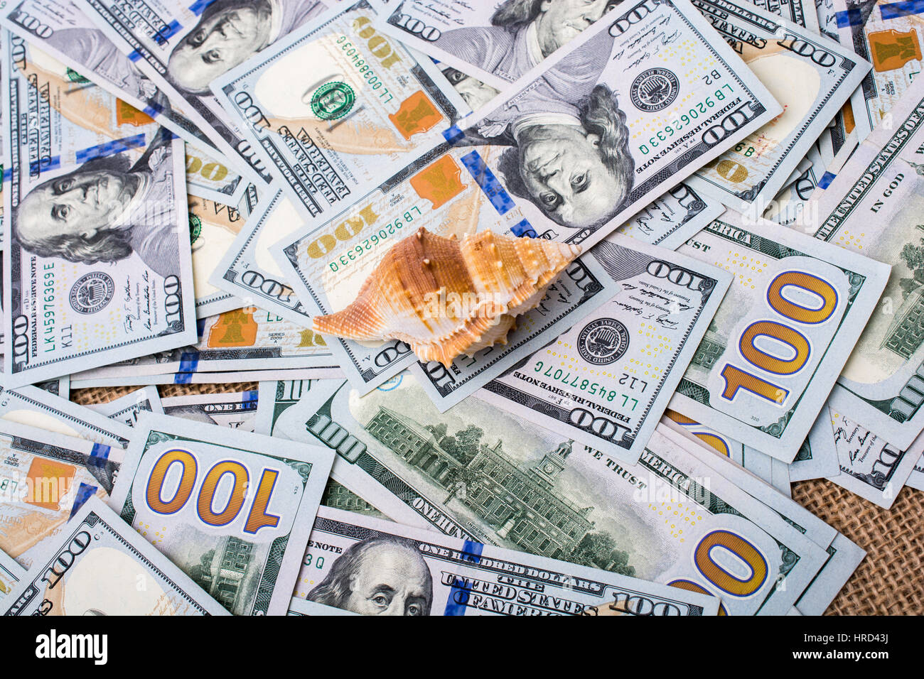 Sea shell placed on spread US dollar banknotes Stock Photo - Alamy