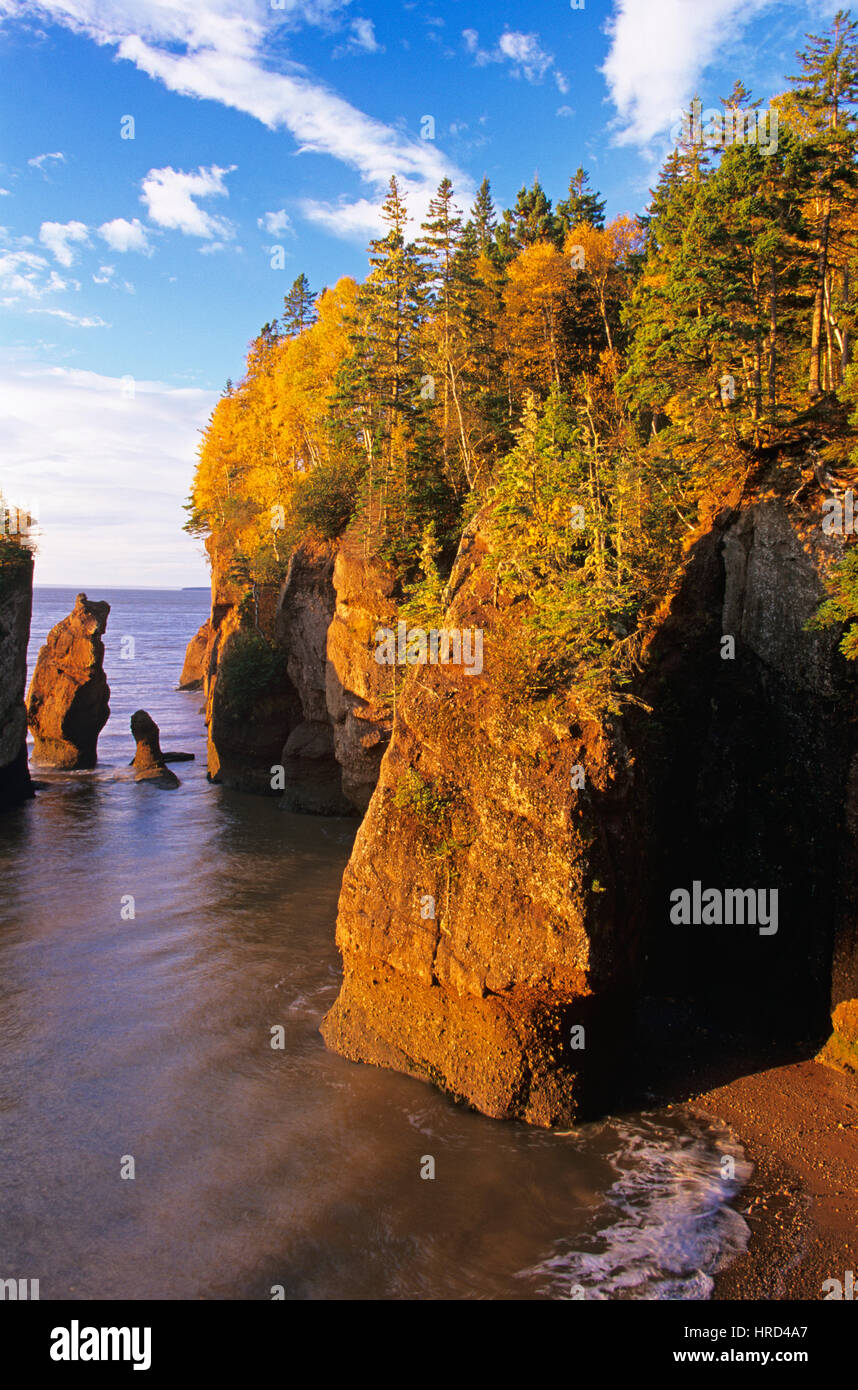 Shepody New Brunswick High Resolution Stock Photography and Images - Alamy