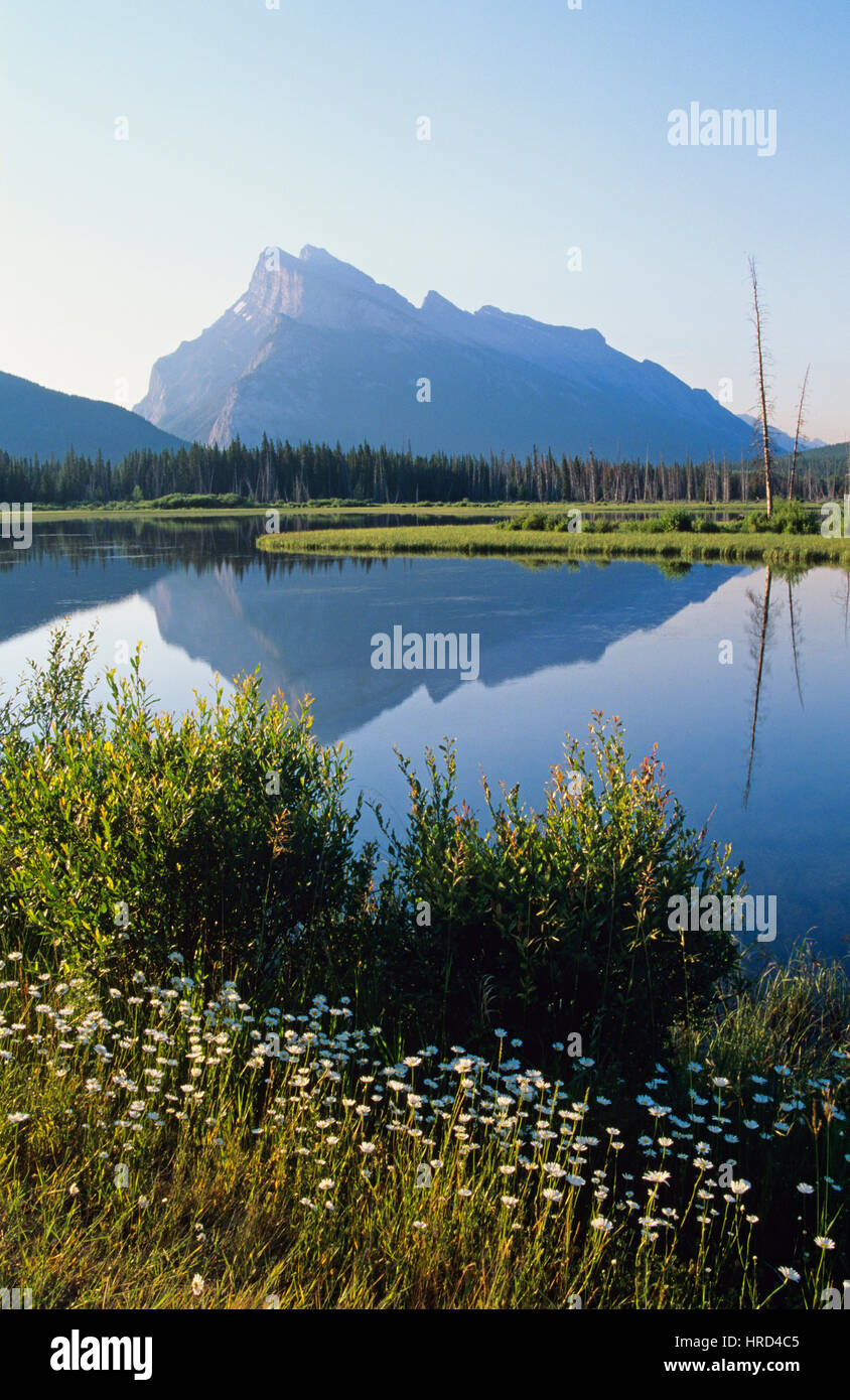 Mount Rundle reflected in Vermillion Lakes, Banff National Park ...