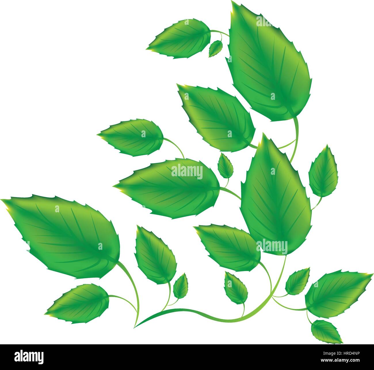 color branches with leaves icon Stock Vector Image & Art - Alamy