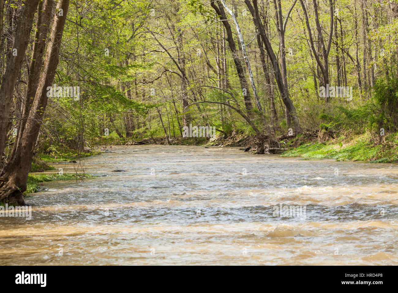 Looking up the Little Gunpowder Falls / river, Maryland, USA Stock ...