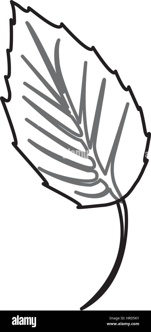 sticker figure leaf icon Stock Vector Image & Art - Alamy