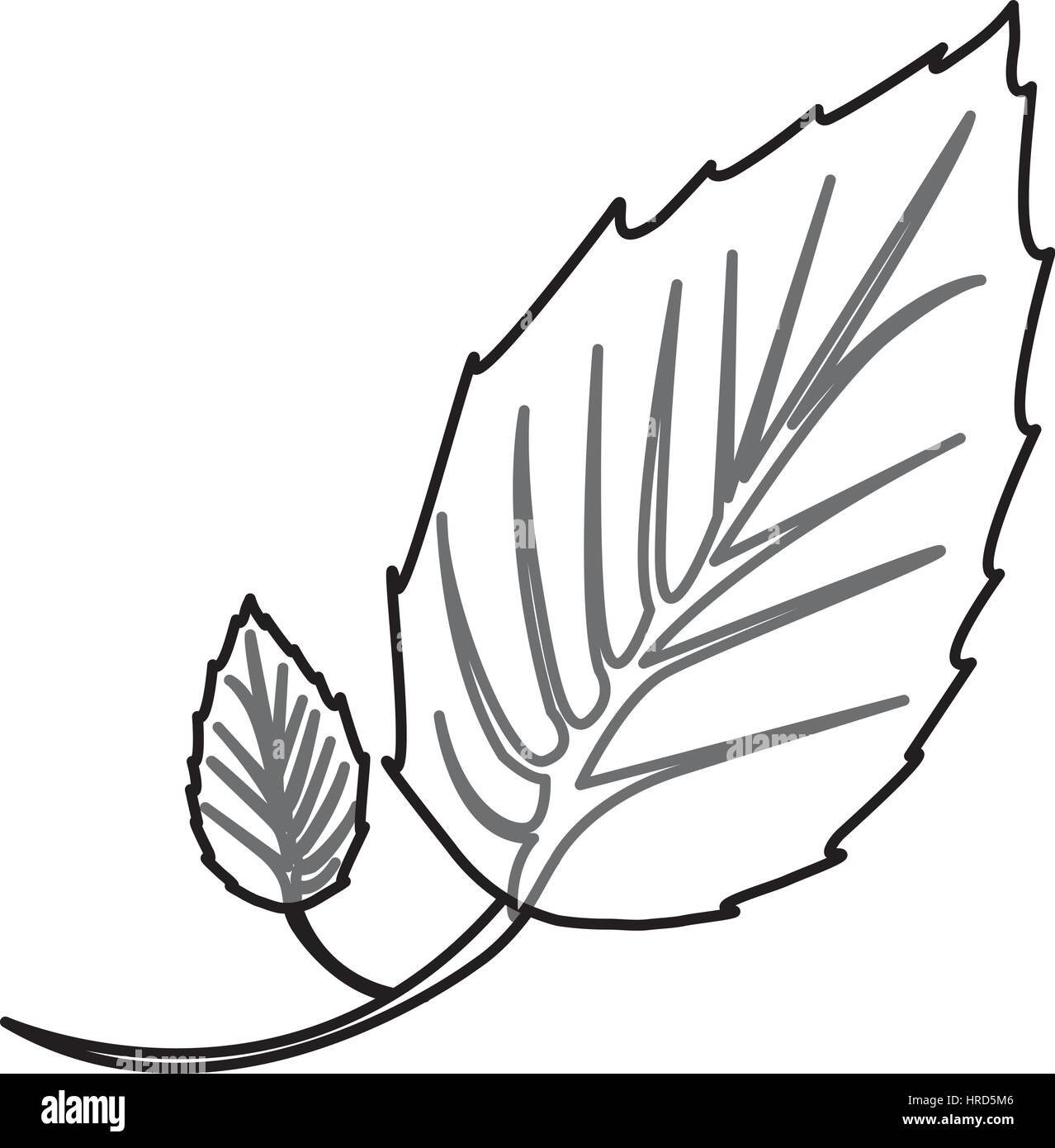 sticker figure leaves icon Stock Vector Image & Art - Alamy